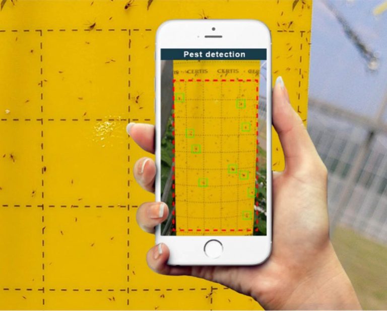 Your IT solution provider - Itility